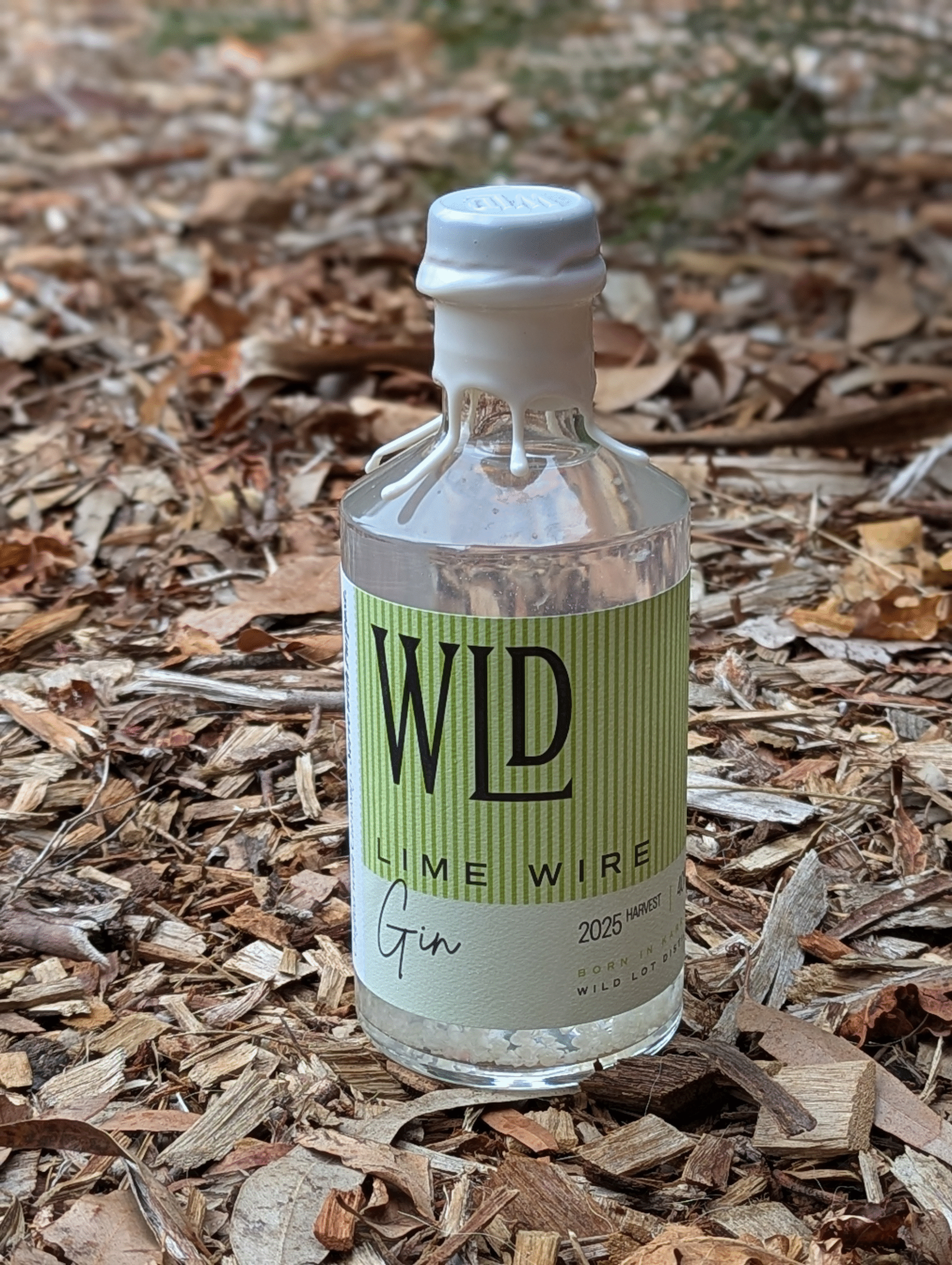 WILD LOT DISTILLERY - Crafted with Curiosity, Serve with Purpose