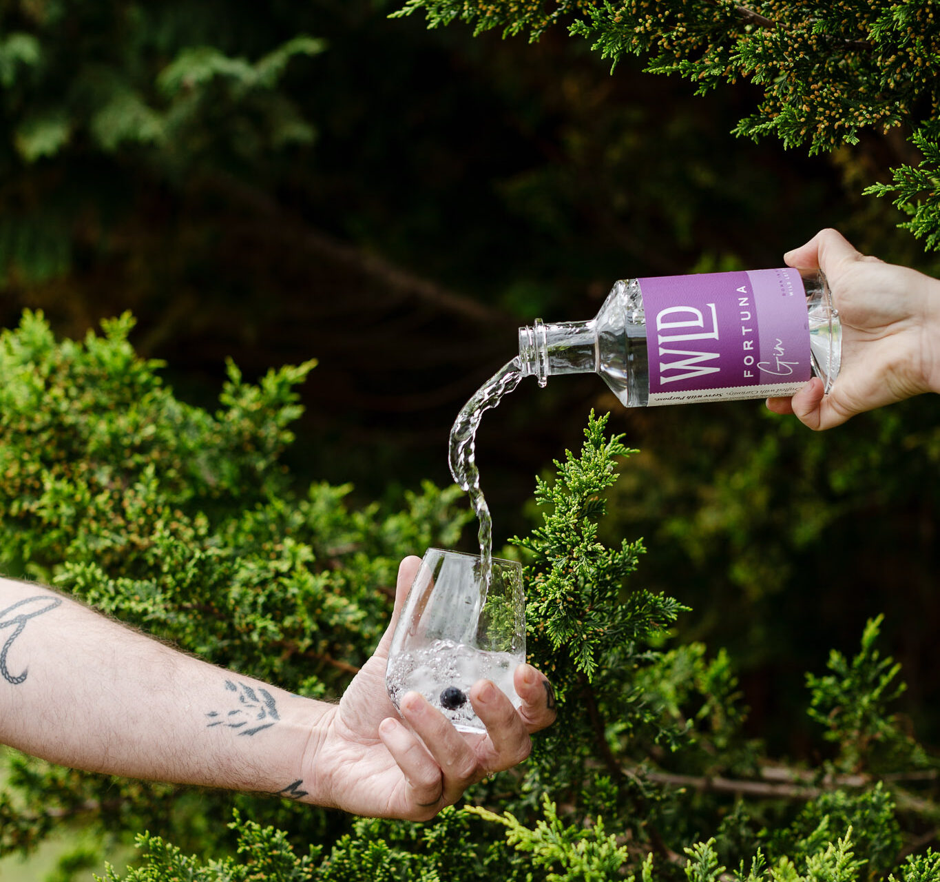 WILD LOT DISTILLERY - Crafted with Curiosity, Serve with Purpose